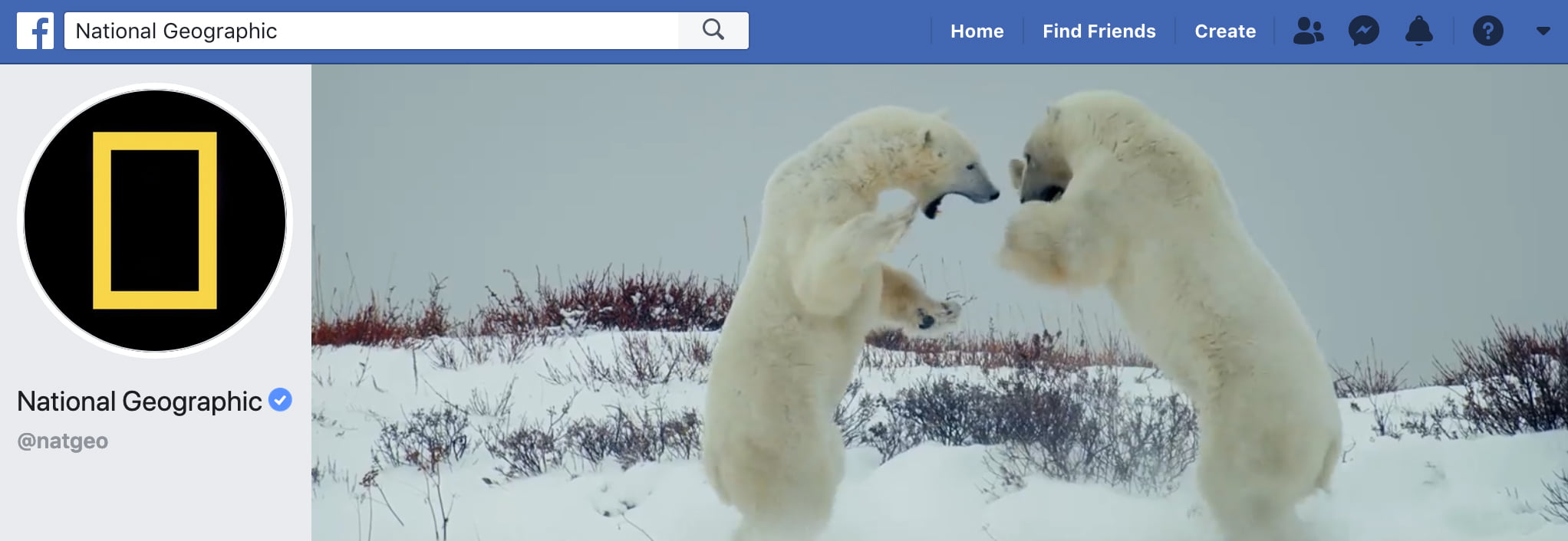 Company Cover Photos for Social Media | Clockwork Design Group Inc.